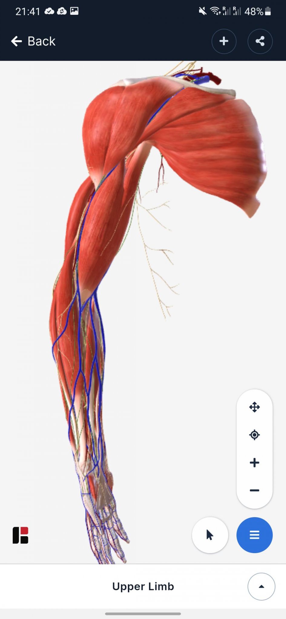 8 Best Human Anatomy Apps for Students and Schoolchildren